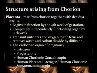 Embryonic and fetal growth and development | PPTX