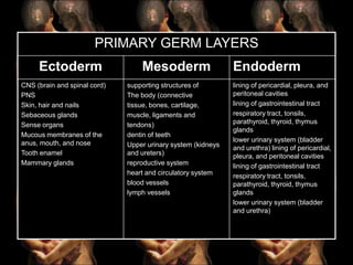 Embryonic and fetal growth and development | PPTX