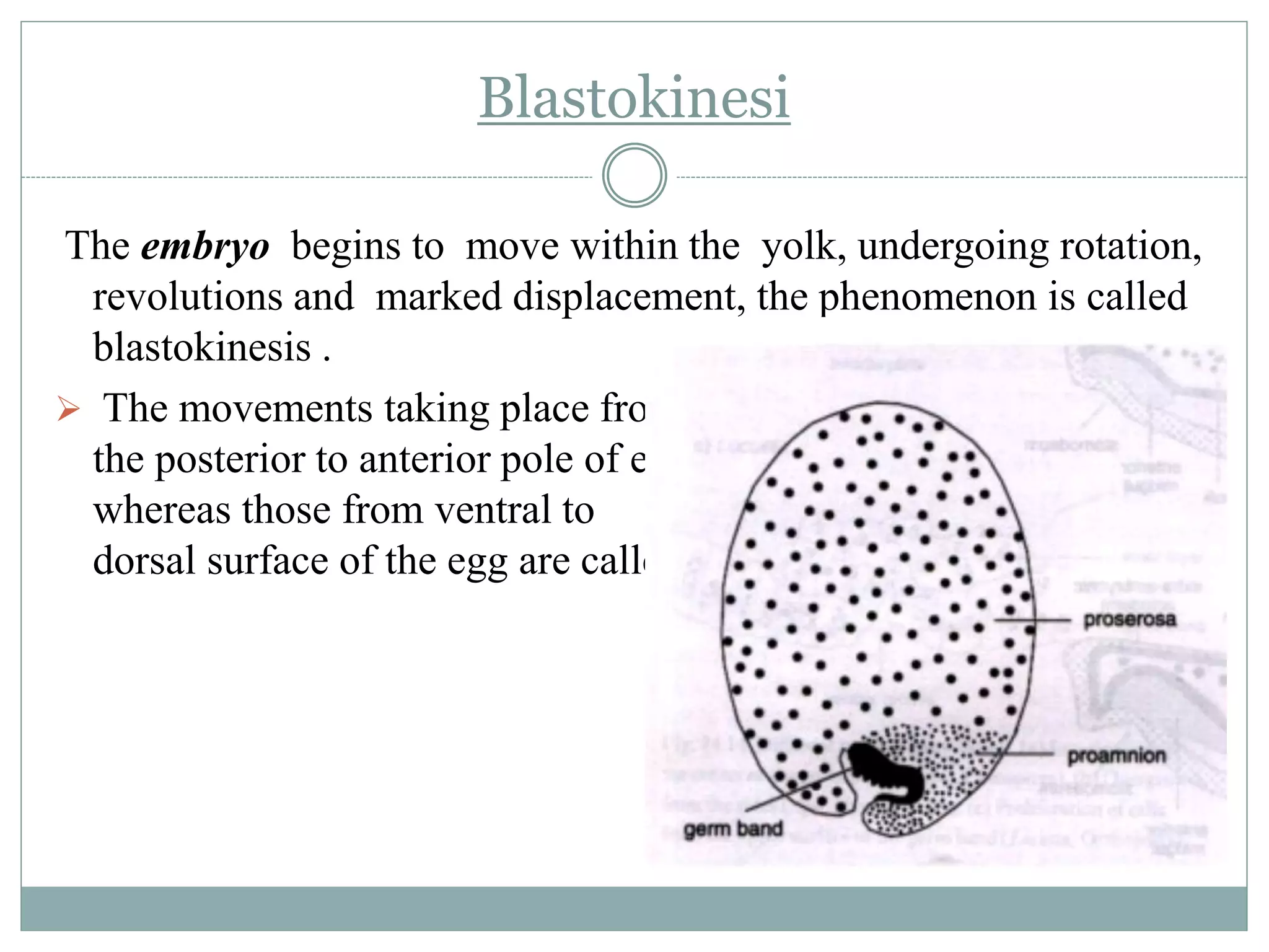 Embryonic and post embryonic development in insect | PPT