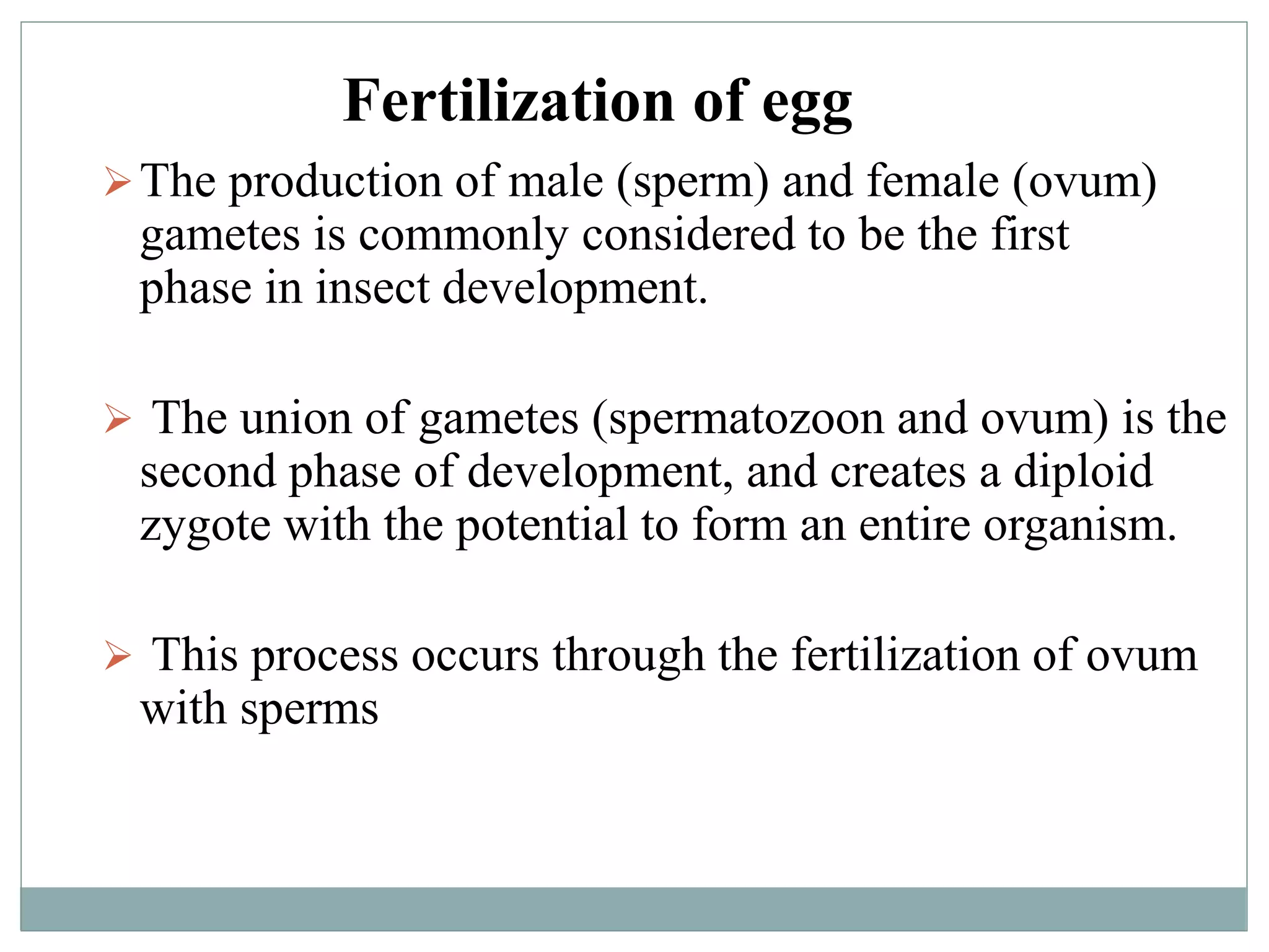 Embryonic and post embryonic development in insect | PPT