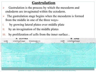 Embryonic and post embryonic development in insect | PPT