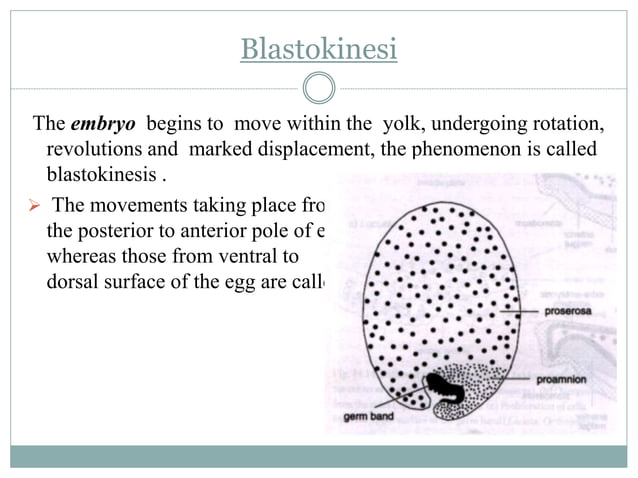 Embryonic and post embryonic development in insect | PPT | Infertility ...