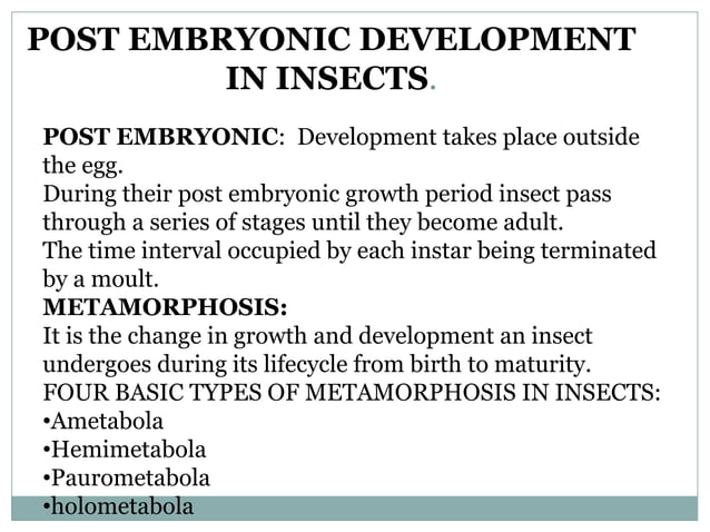 Embryonic and post embryonic development in insect | PPT | Infertility ...