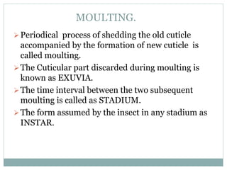 Embryonic and post embryonic development in insect | PPT