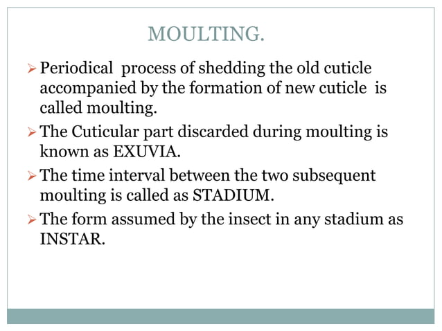 Embryonic and post embryonic development in insect | PPT | Infertility ...