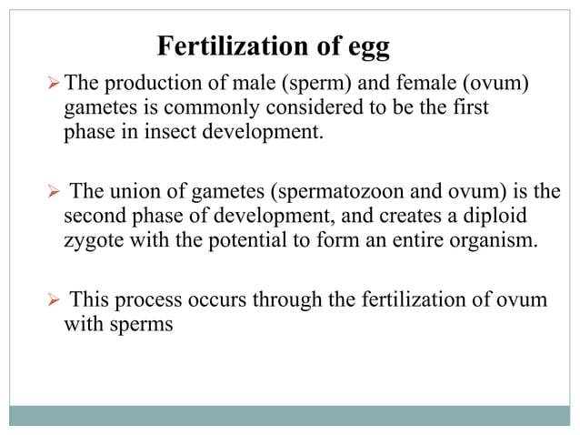 Embryonic and post embryonic development in insect | PPT | Infertility ...