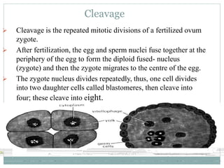 Embryonic and post embryonic development in insect | PPT