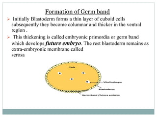 Embryonic and post embryonic development in insect | PPT