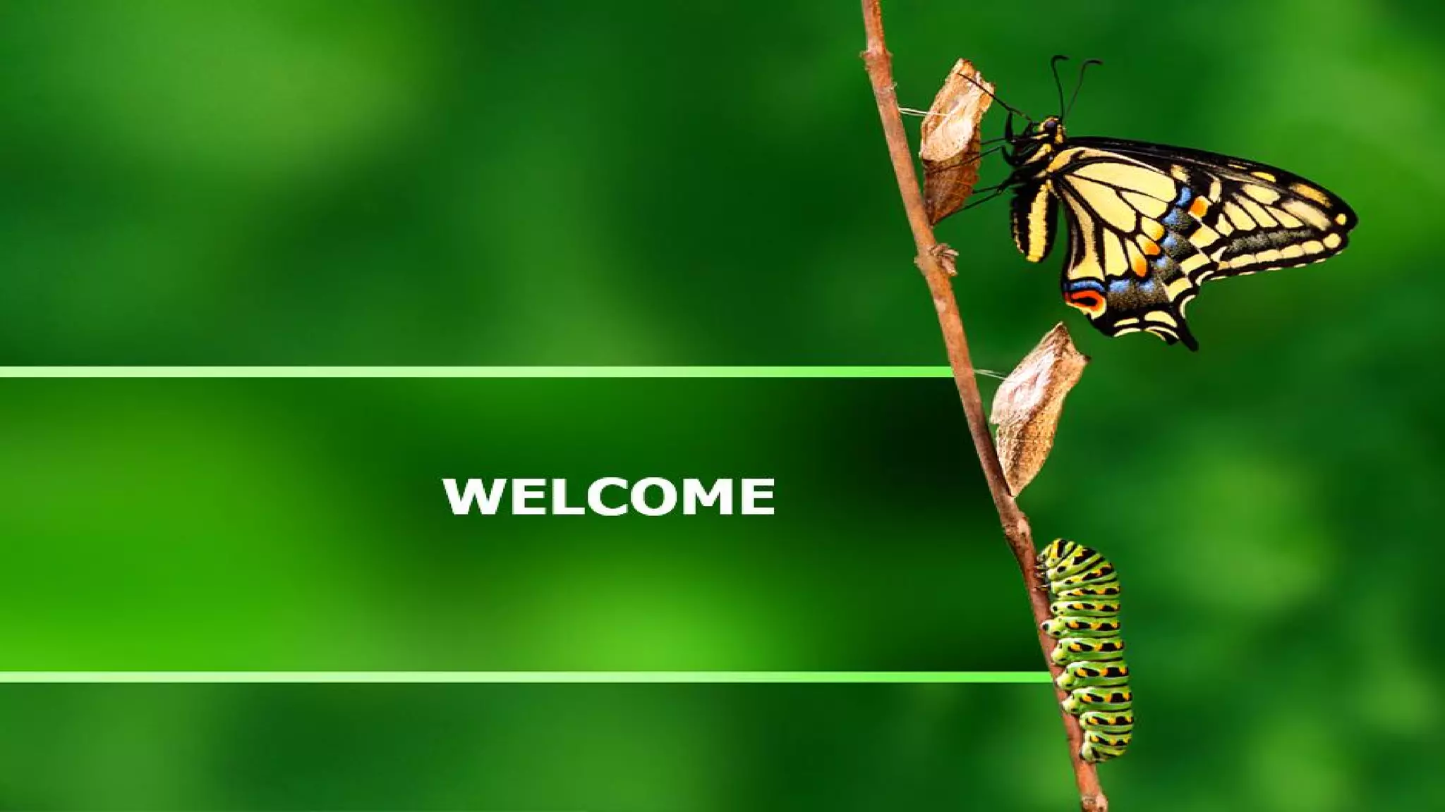 Embryonic and post embryonic development in insects | PDF