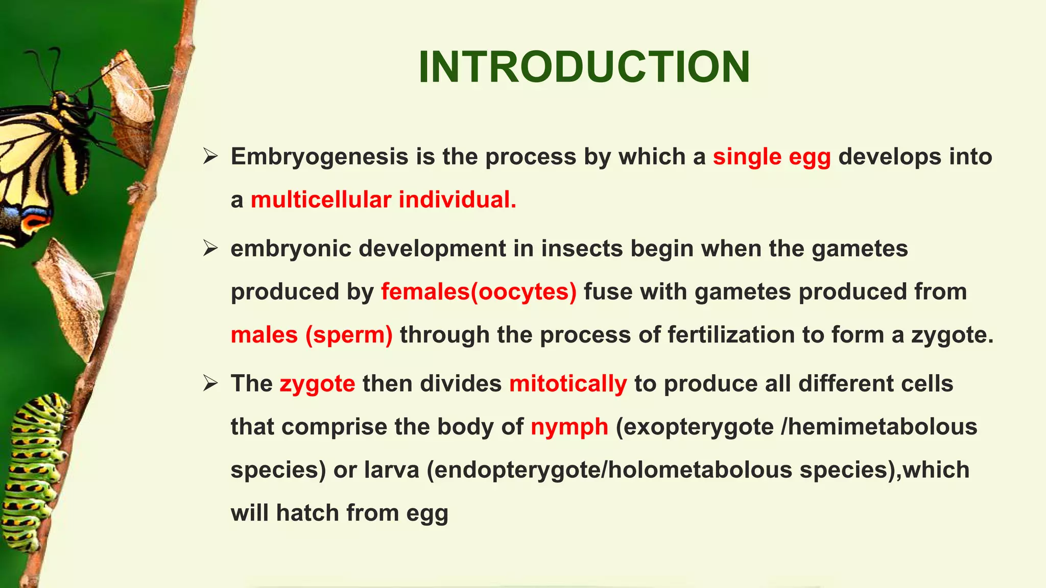 Embryonic and post embryonic development in insects | PDF
