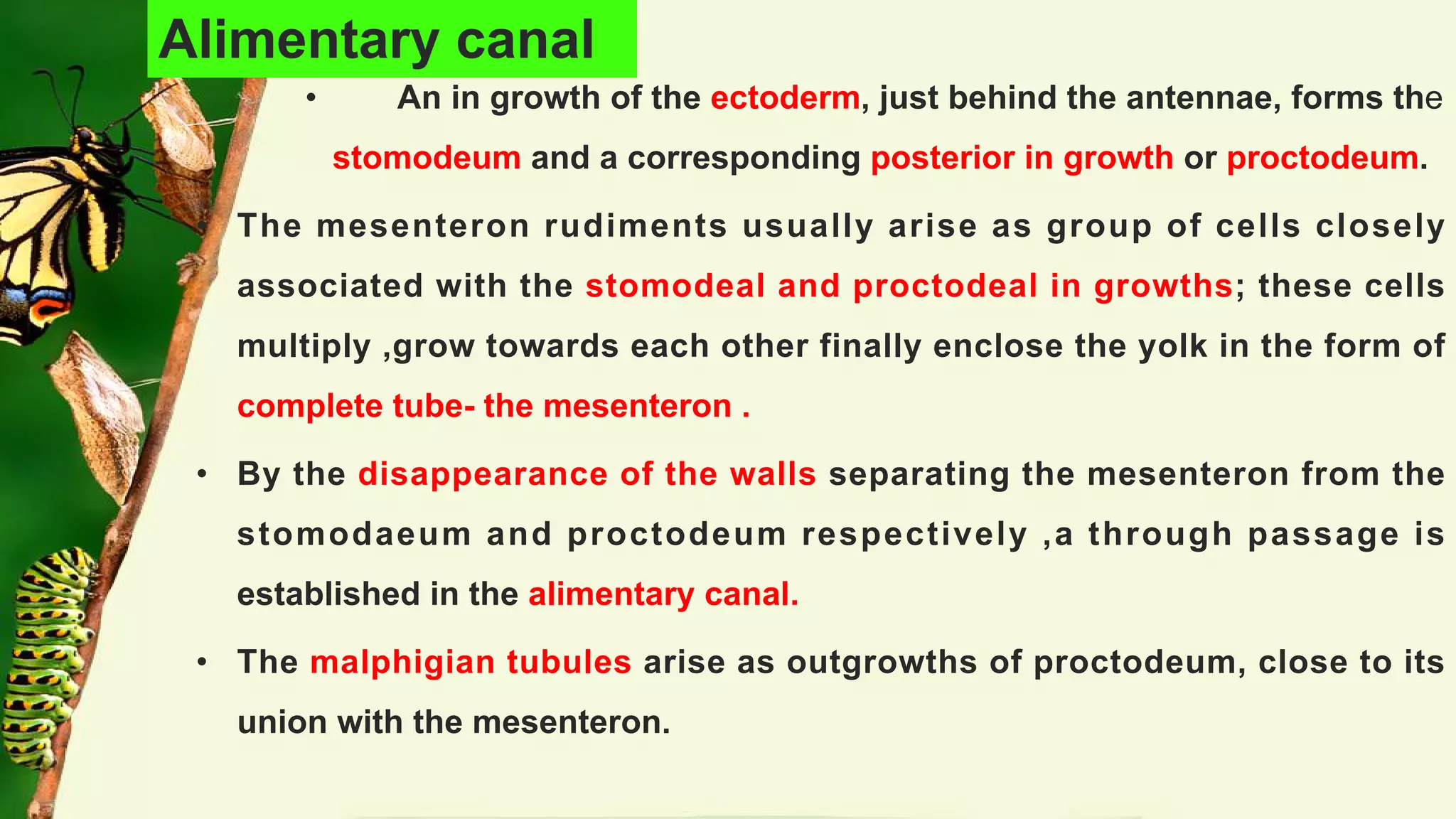 Embryonic and post embryonic development in insects | PDF