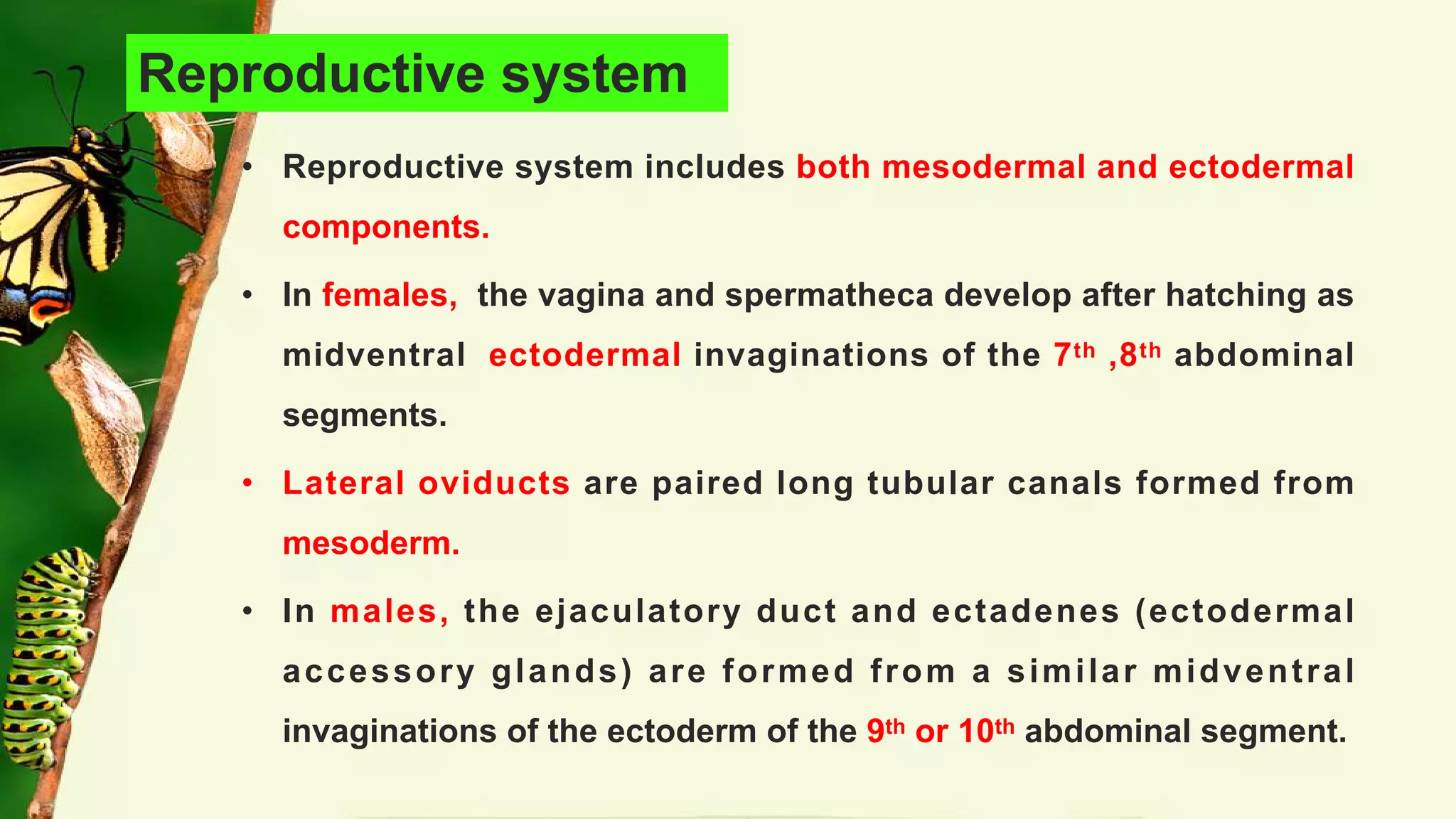 Embryonic and post embryonic development in insects | PDF