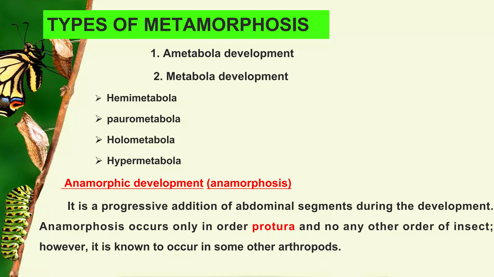 Embryonic and post embryonic development in insects | PDF