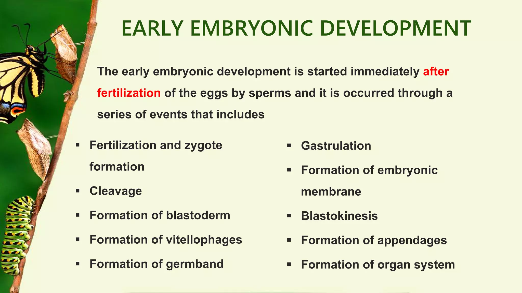 Embryonic and post embryonic development in insects | PDF