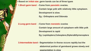Embryonic and post embryonic development in insects | PDF
