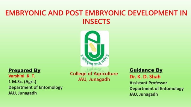 Embryonic and post embryonic development in insects | PDF