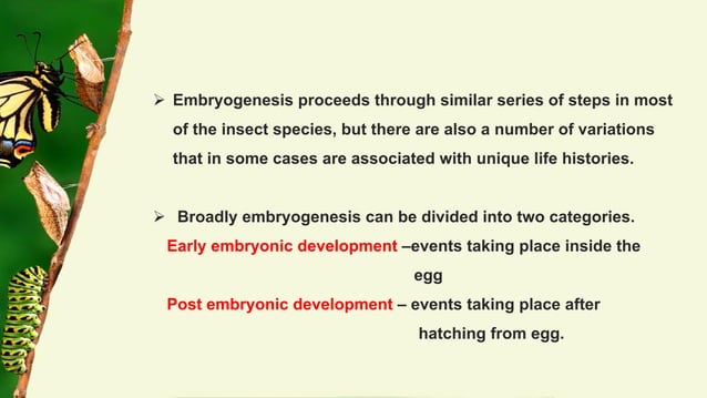 Embryonic and post embryonic development in insects | PDF
