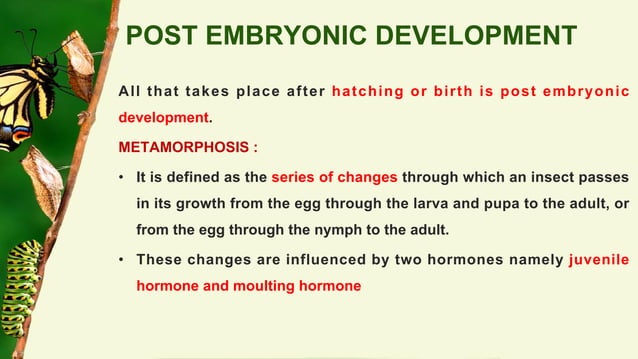Embryonic and post embryonic development in insects | PDF