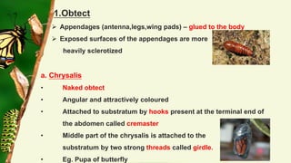 Embryonic and post embryonic development in insects | PDF