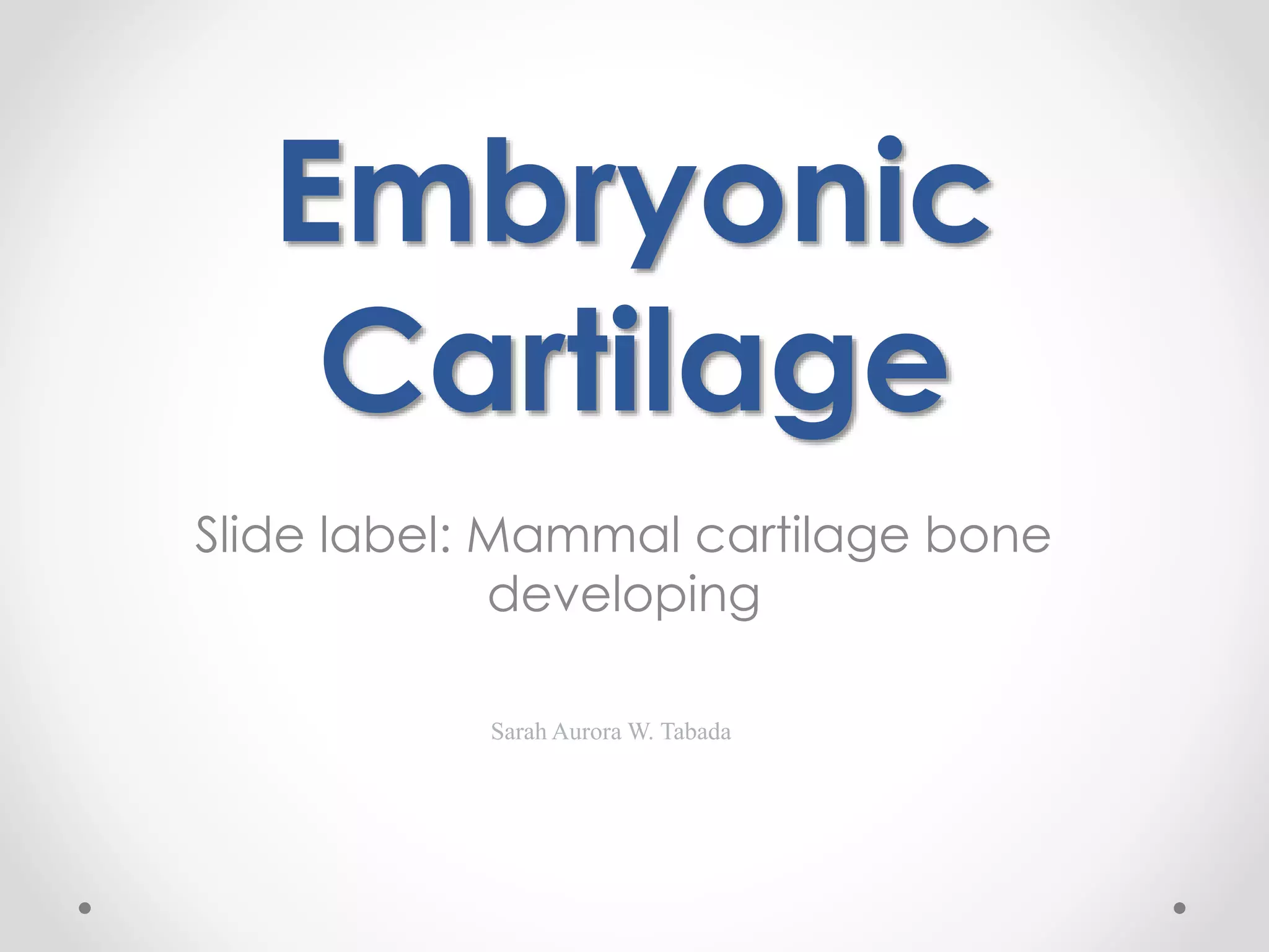 Embryonic cartilage in Mammal Developing Bone | PPTX