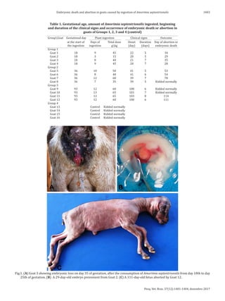 Embryonic death and abortion in goats pvb | PDF