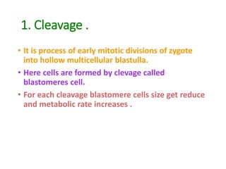 Embryonic development SlideShare. | PPTX