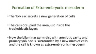 EMBRYONIC DEVELOPMENT...............pptx