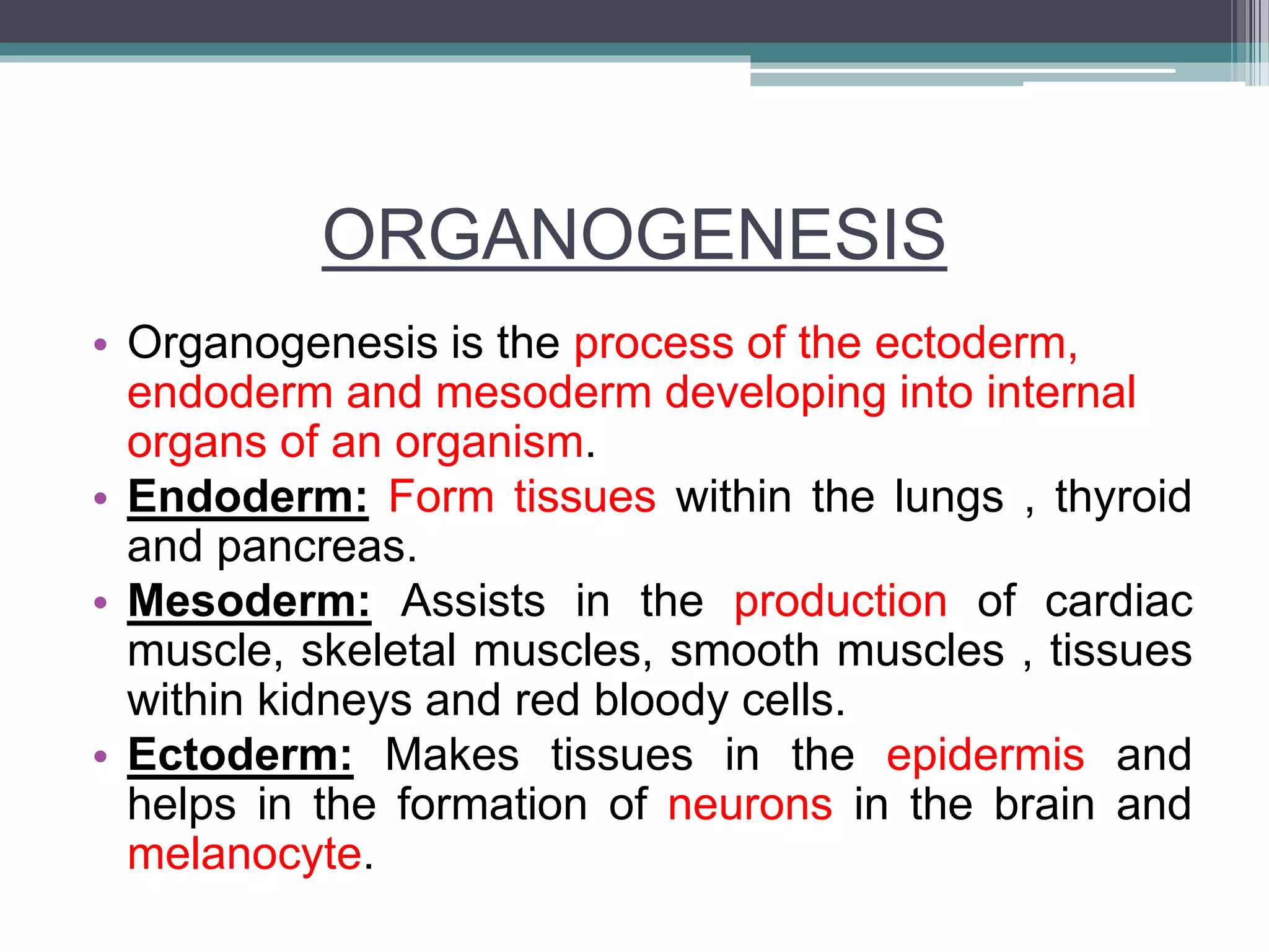 Embryonic development after fertilization | PPTX