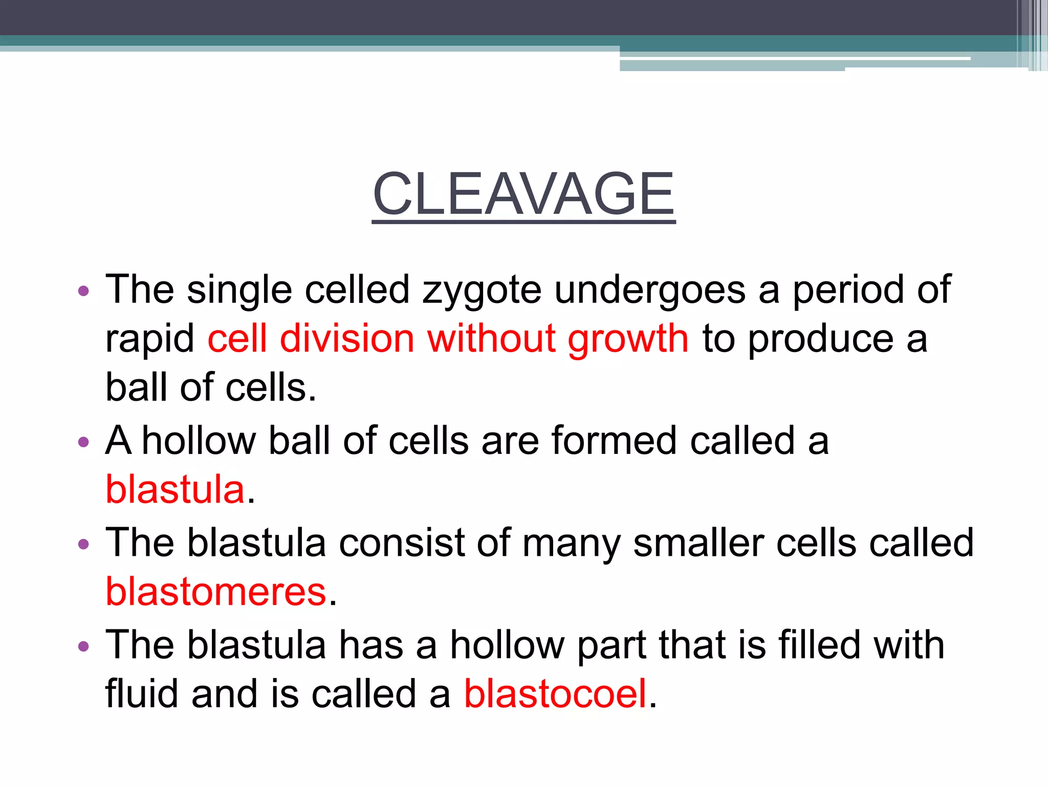 Embryonic development after fertilization | PPTX