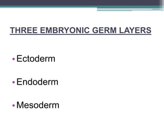 Embryonic development after fertilization | PPTX