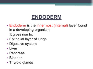 Embryonic development after fertilization | PPTX