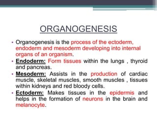 Embryonic development after fertilization | PPTX