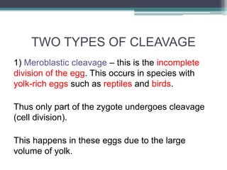 Embryonic development after fertilization | PPTX