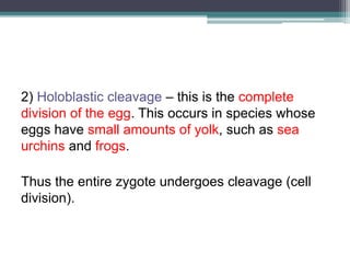 Embryonic development after fertilization | PPTX