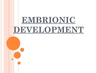 embryonic development, process and formation of blastocyst | PPT