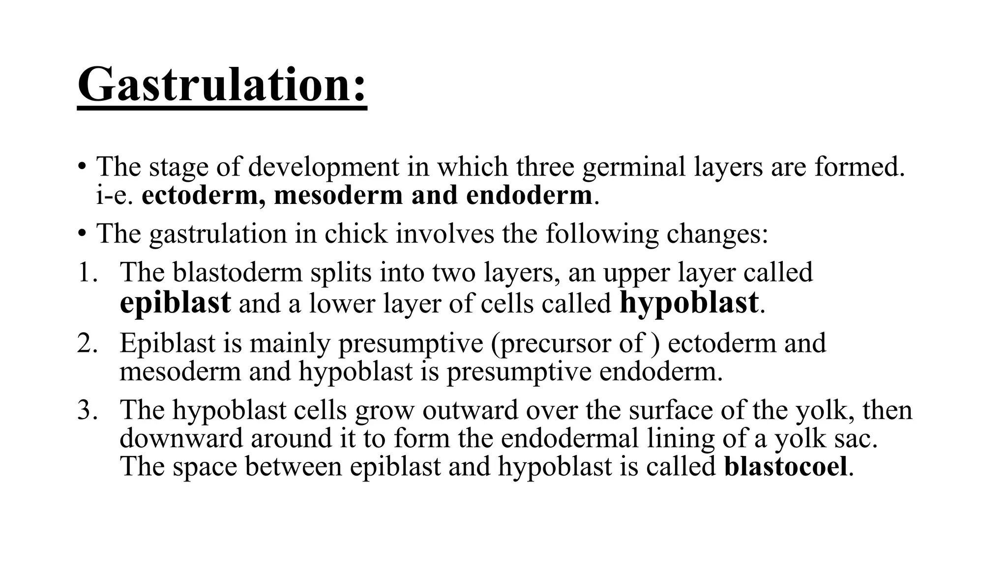 embryonic development in chick.pptx