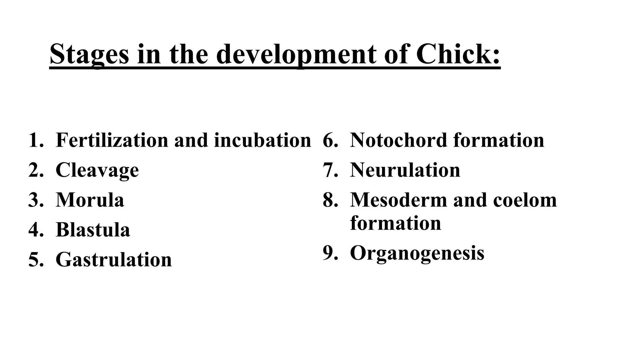 embryonic development in chick.pptx
