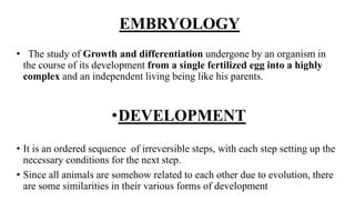 embryonic development in chick.pptx