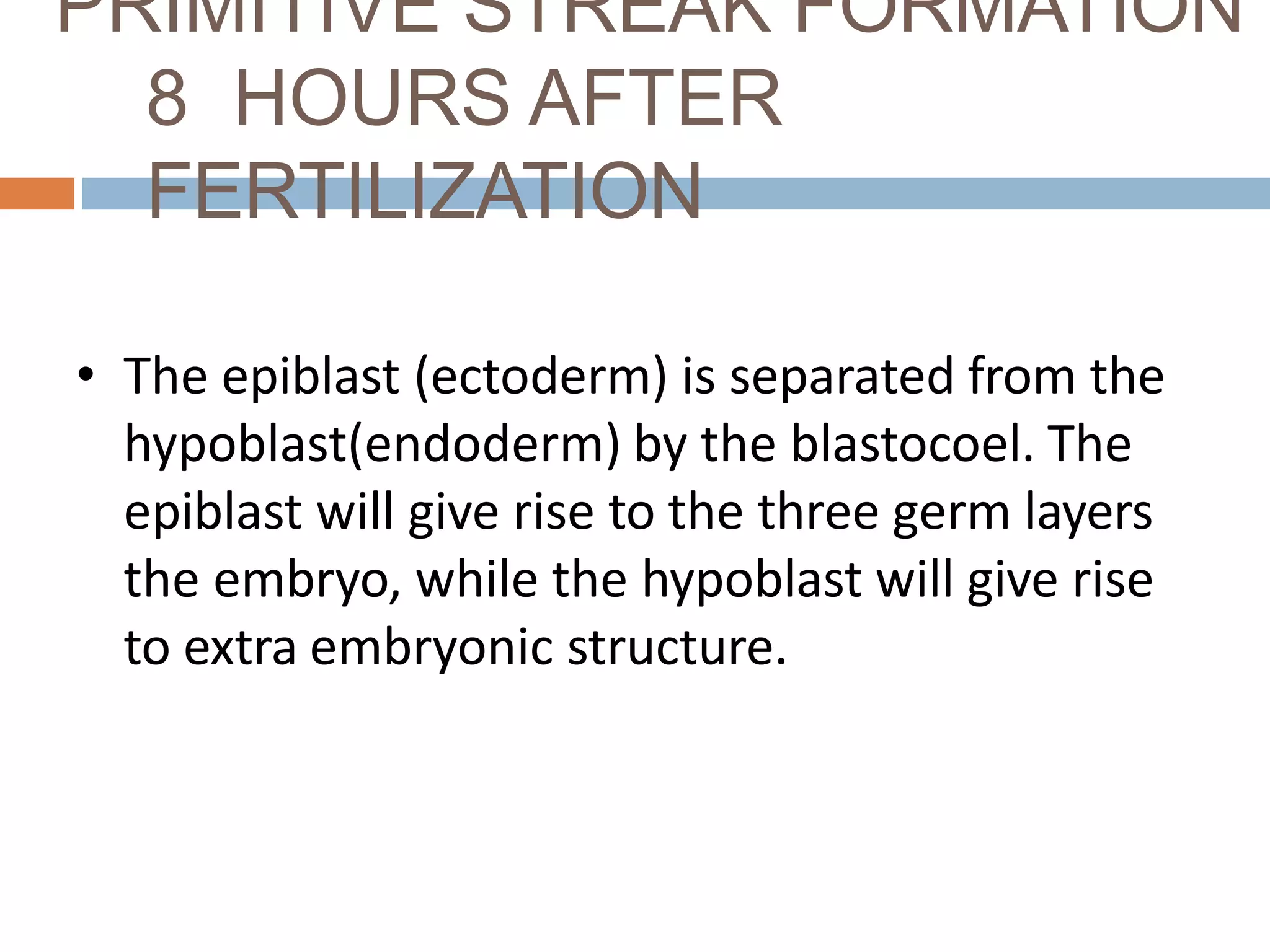 Embryonic development of chicken | PPTX