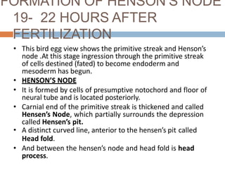 Embryonic development of chicken | PPTX