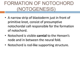 Embryonic development of chicken | PPTX