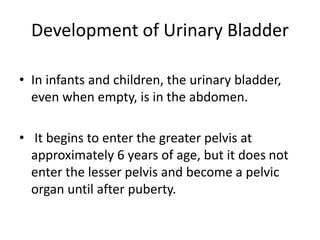 Embryonic development of the urogenital system | PPTX