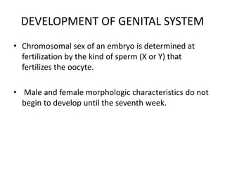 Embryonic development of the urogenital system | PPTX