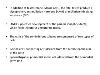 Embryonic development of the urogenital system | PPTX