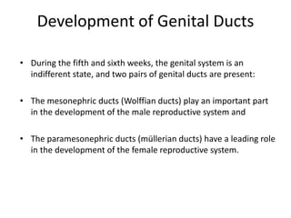 Embryonic development of the urogenital system | PPTX