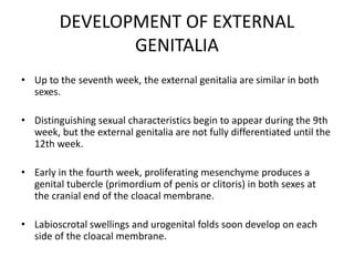 Embryonic development of the urogenital system | PPTX
