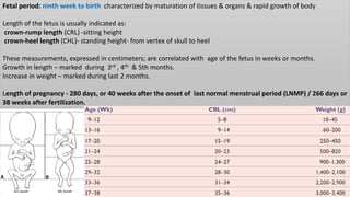 Embryonic & Fetal periods | PPTX