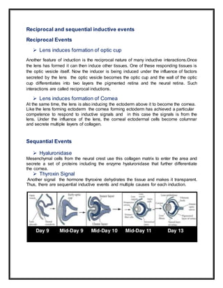 Embryonic induction | DOCX