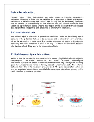 Embryonic induction | DOCX