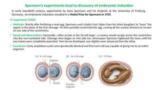 Embryonic luction induction embryonic.pptx
